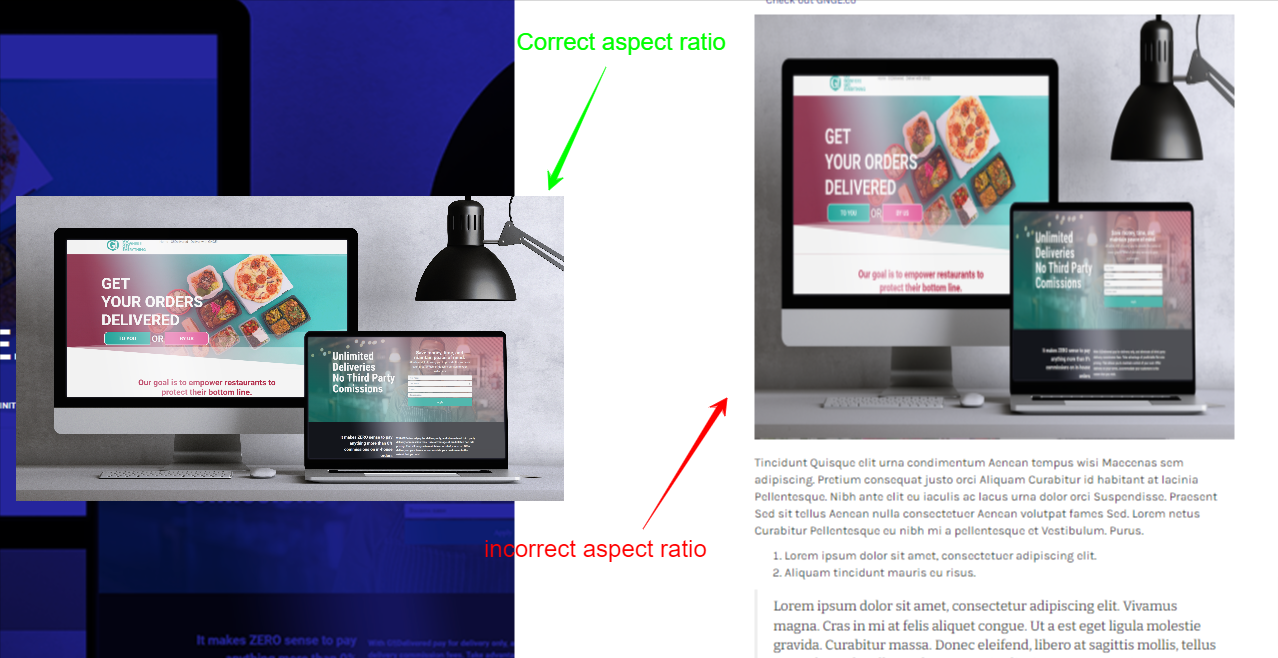 Full Article image distorted - Support Central