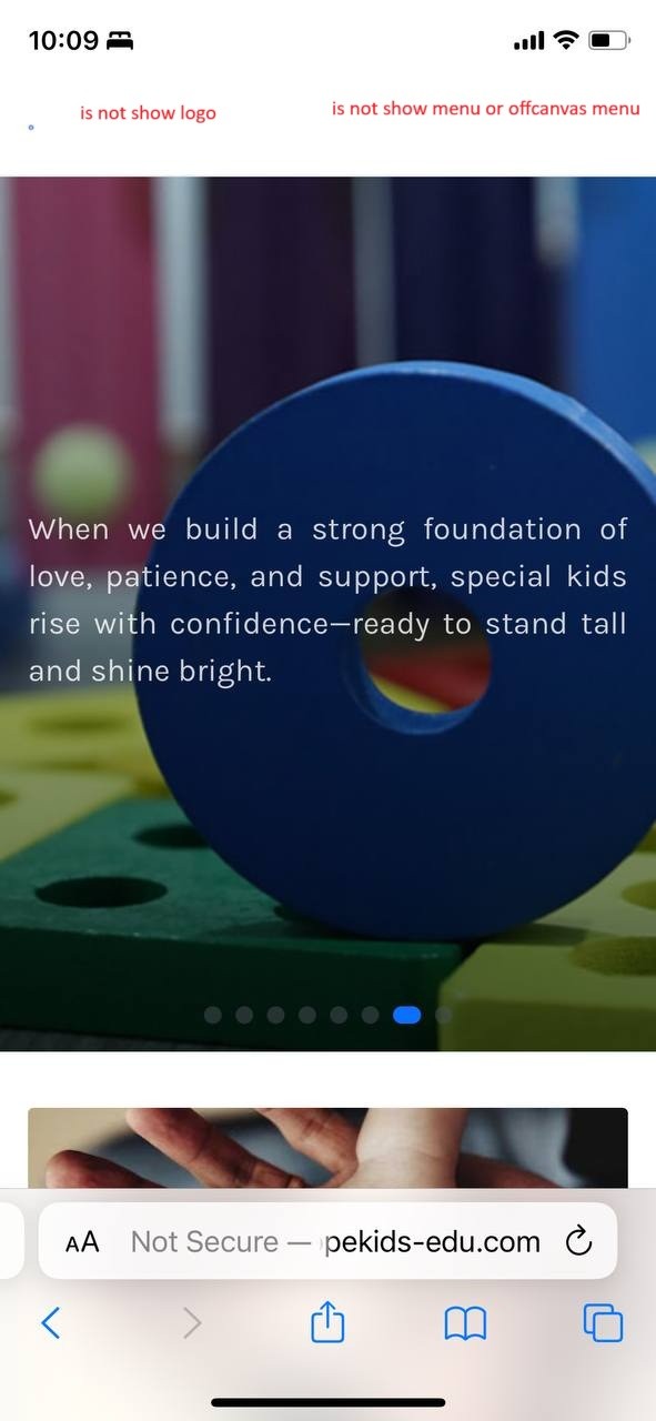 On Mobile view it doesn't show logo, menu or offcanvas, - Support Central